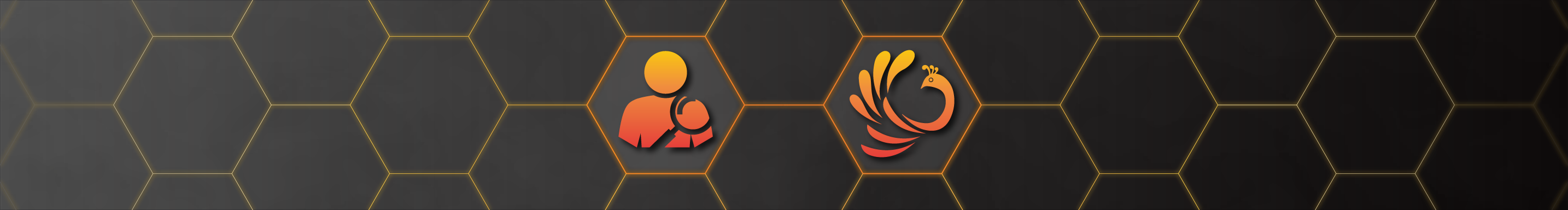 Company History | Integrity Fire Safety Services